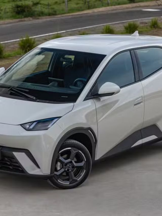 BYD Dolphin Mini é vendido por R$ 99 mil para PCD!